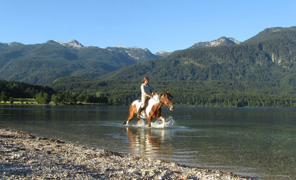 Ranč Mrcina - SelectBOX