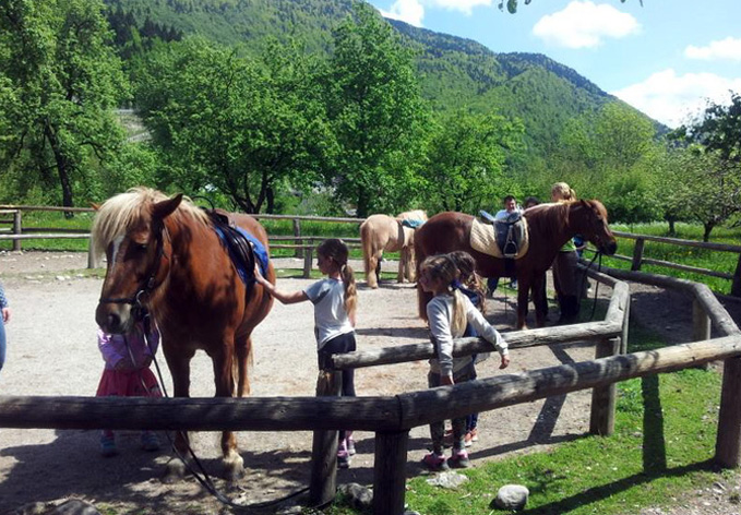 Ranč Mrcina - SelectBOX