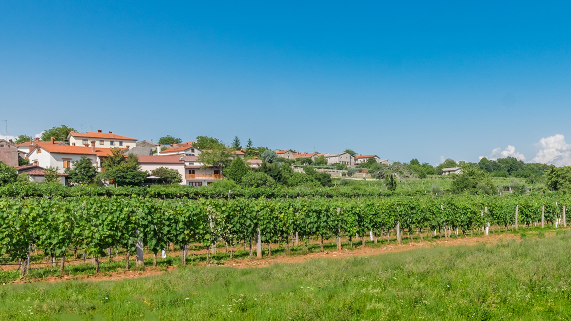 Vinska klet Tavčar - SelectBOX