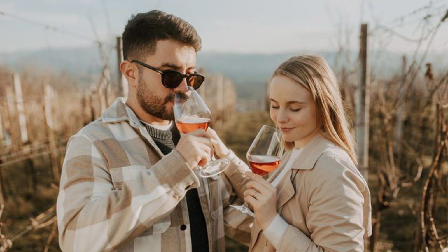 Vinska klet Colnar - pokušina 3 vin, olja iz grozdnih pečk + prigrizek ...