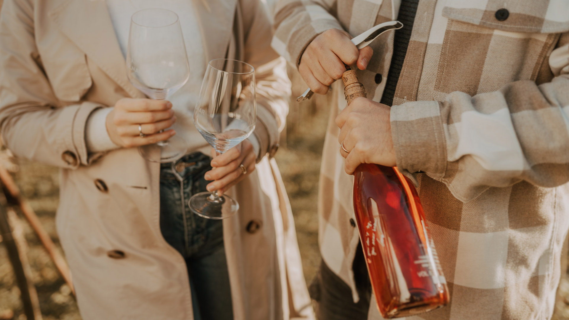 Vinska klet Colnar - SelectBOX