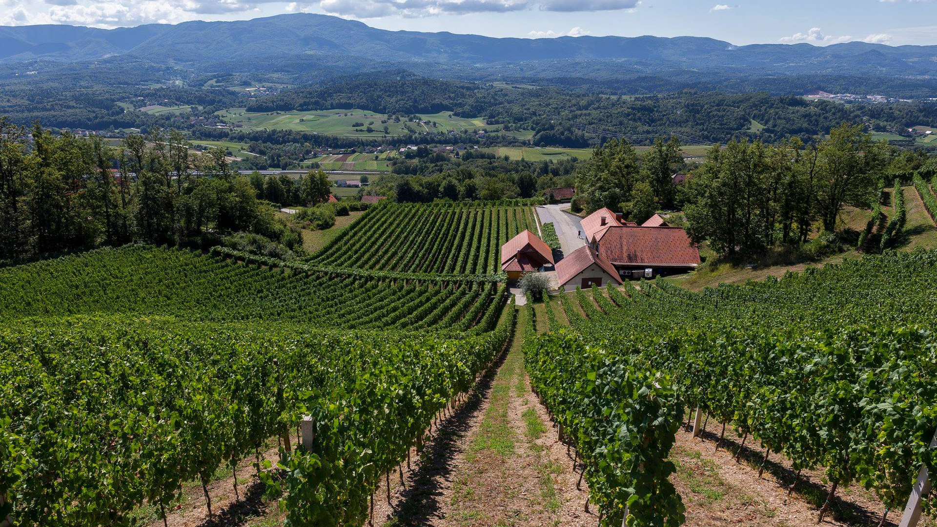 Vinska klet Colnar - SelectBOX