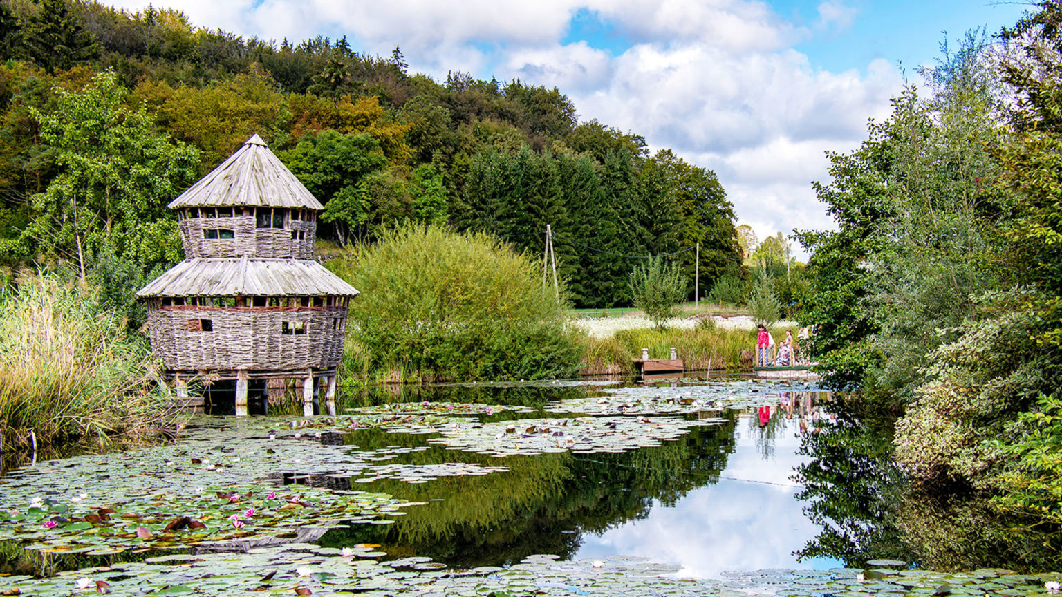 Vodomčev gaj - SelectBOX