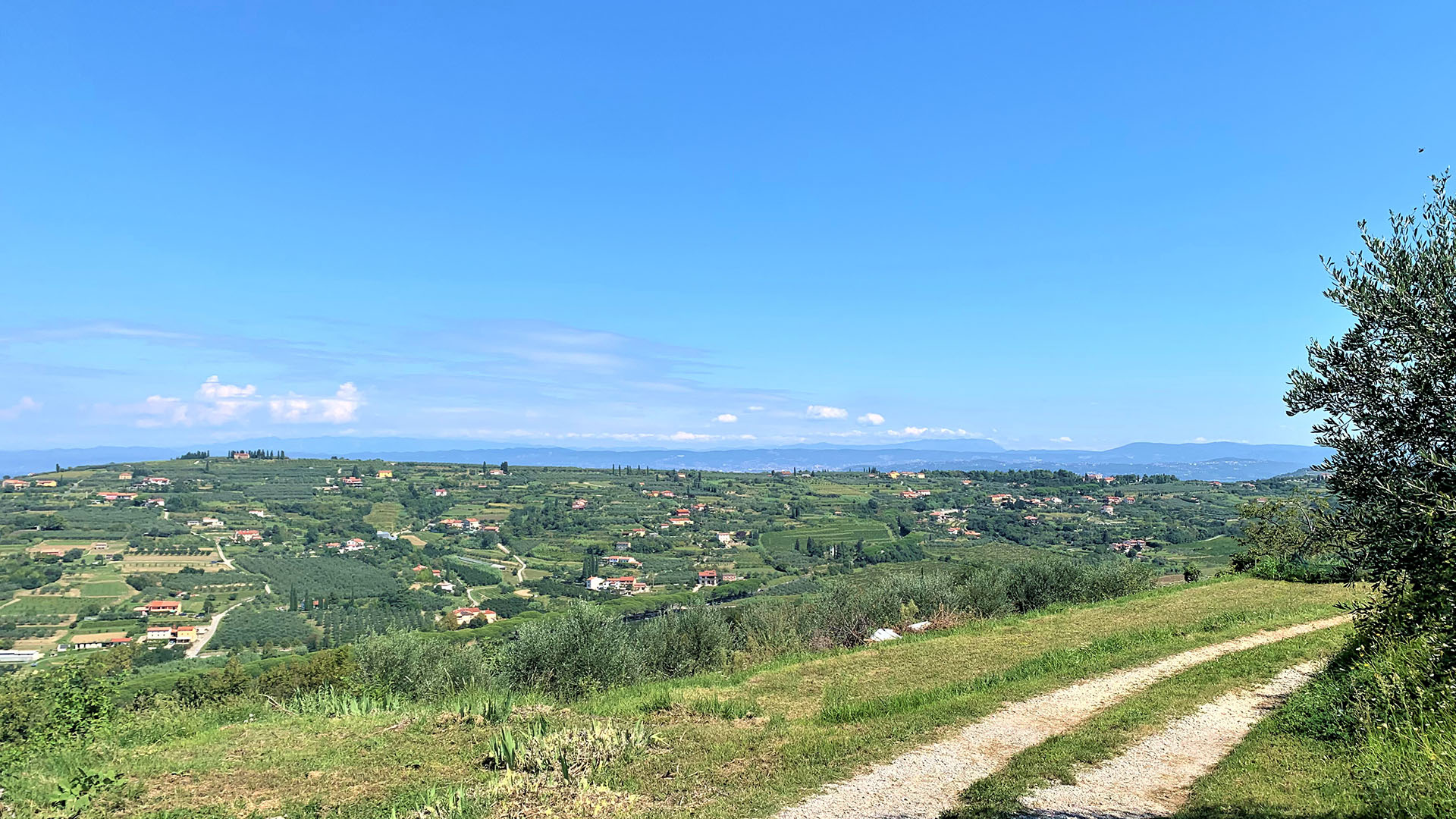 Kulinarične poti po Slovenski obali - SelectBOX