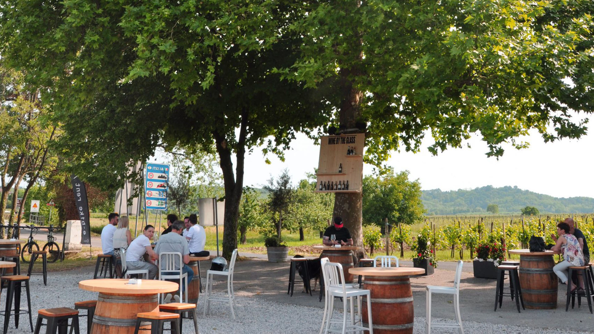 Vinoteka Konvin - SelectBOX