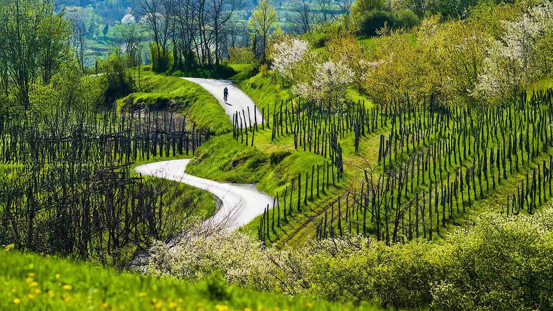 Bike Vibe - SelectBOX